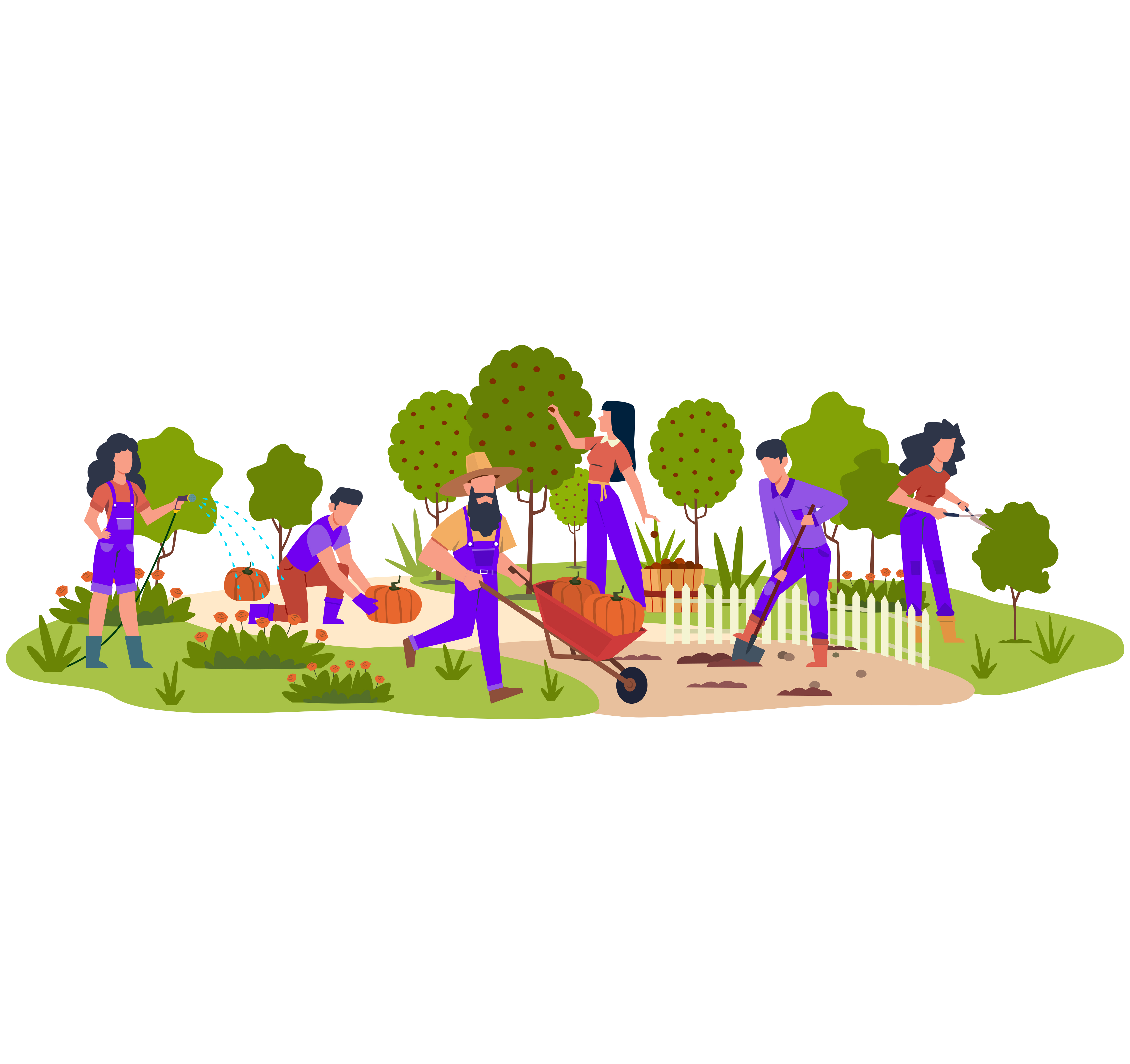 Saving energy in your home – Outfox Energy